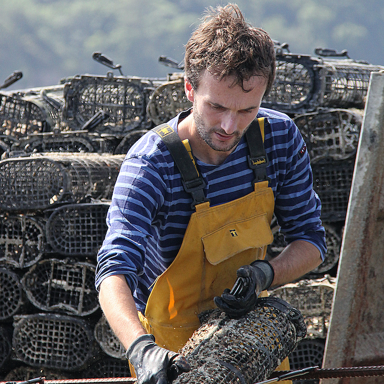 Seapa Bénéfices | Seapa France