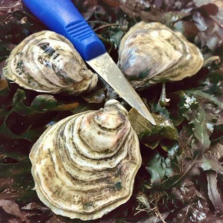 Seapa Bénéfices | Seapa France