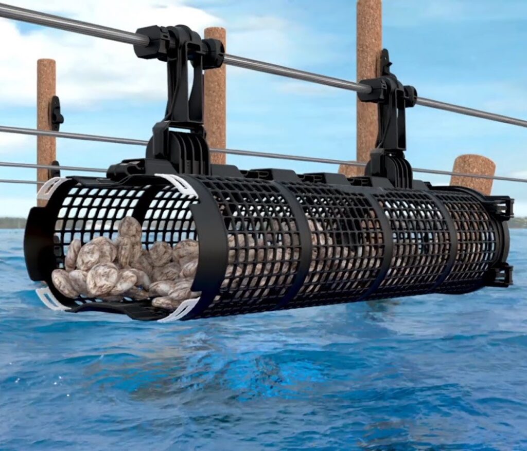 SEAPA GTX Oyster Basket | Seapa France