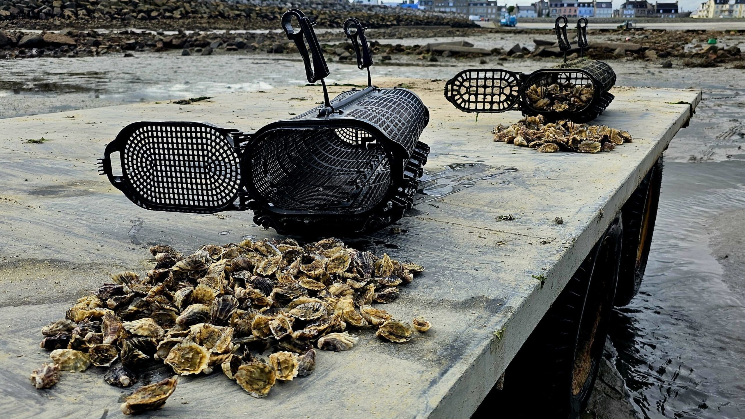 SEAPA Les Clients Triomphent à Paris | Seapa France