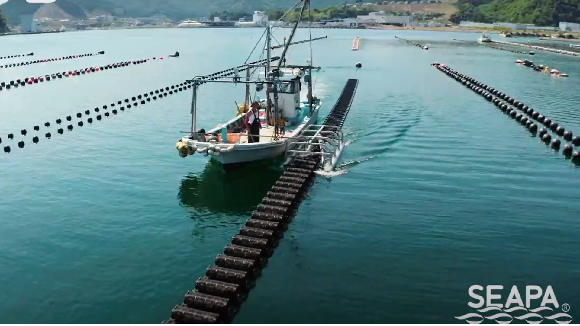 Du GTX au REVO : Transformer les pratiques de l'ostréiculture | Seapa ...